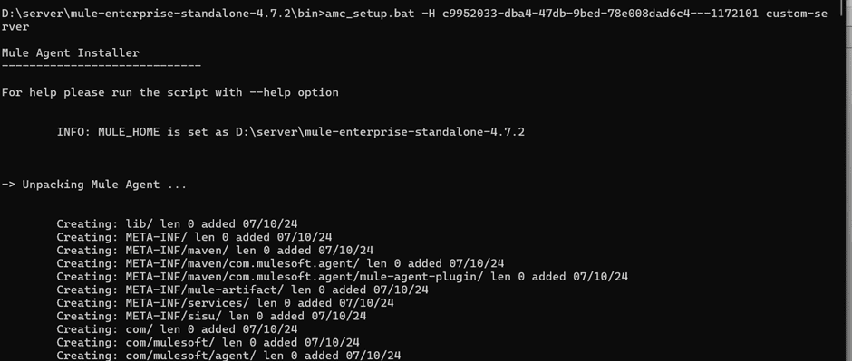 Mule Standalone Runtime Setup & Registering With Anypoint Platform - TGH