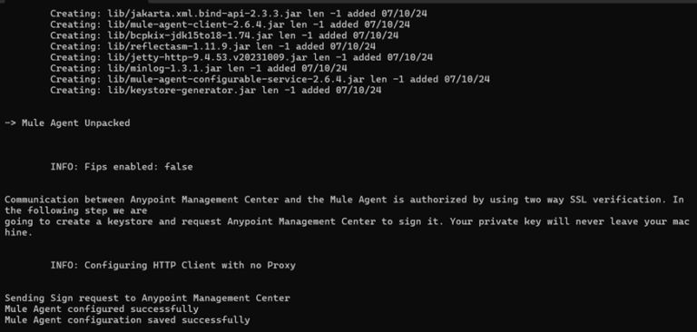 Mule Standalone Runtime Setup & Registering With Anypoint Platform - TGH